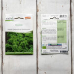 Wasabino Asiasalat - 1 Tüte Bio-Saatgut von Sativa - MISS GREENBALL